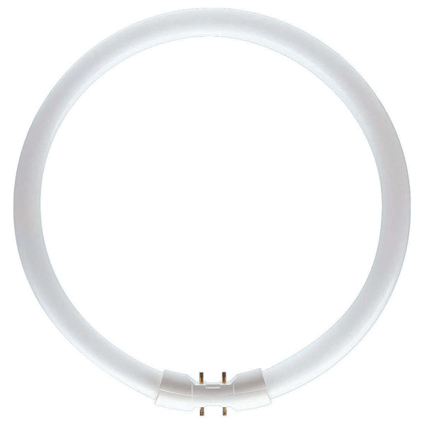 Philips 22w Master TL5 Circular Cool White 4000k 2GX13 Fluorescent Lig ...