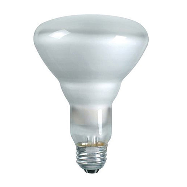 Philips 65w 120v BR30 FL55 Frosted E26 DuraMax Halogen Light Bulb ...