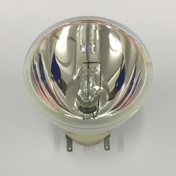 Optoma BL-FP230D Projector Original projector bulb – BulbAmerica