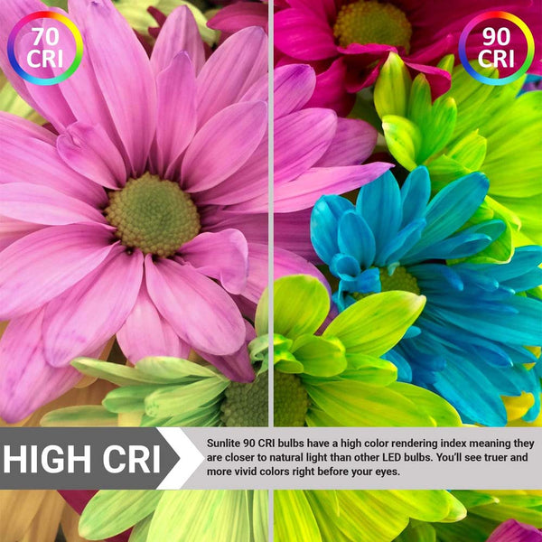 Sunlite 15w LED PAR38 Long Neck E26 Dimmable 3000K Spot Bulb - 100W Eq ...