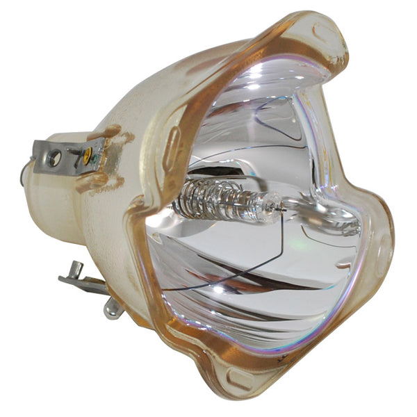 BenQ MP776ST Projector Bulb - Philps OEM Projection Bare Bulb – BulbAmerica
