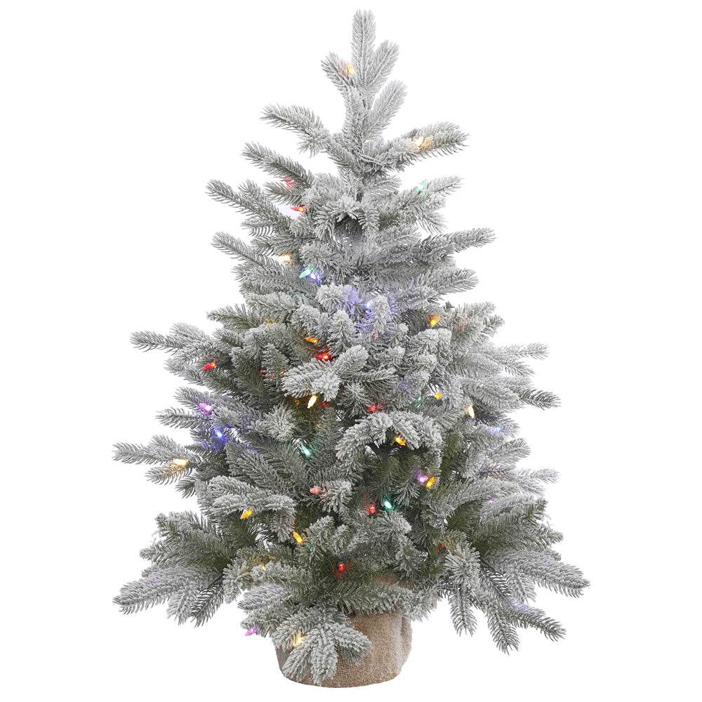 36in. Frosted Sable Pine tree 206 frosted PE/PVC tips 100 multi LED li ...