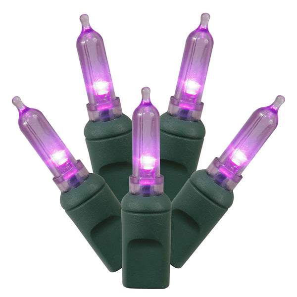 100 Light Purple LED 34 ft. – BulbAmerica