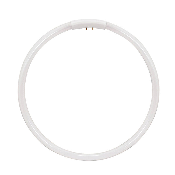 Satco 22w 9in T5 6500k Daylight FC22T5 G10Q Fluorescent - Circline Bul ...